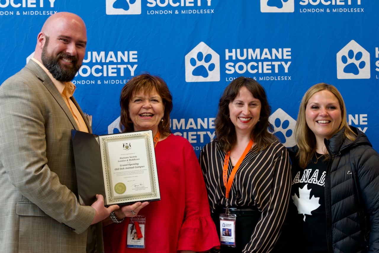 A Look At Our Grand Opening Event! | Humane Society London & Middlesex