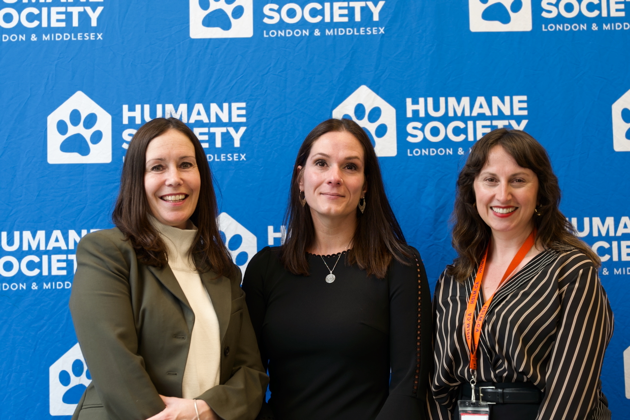 A Look At Our Grand Opening Event! | Humane Society London & Middlesex