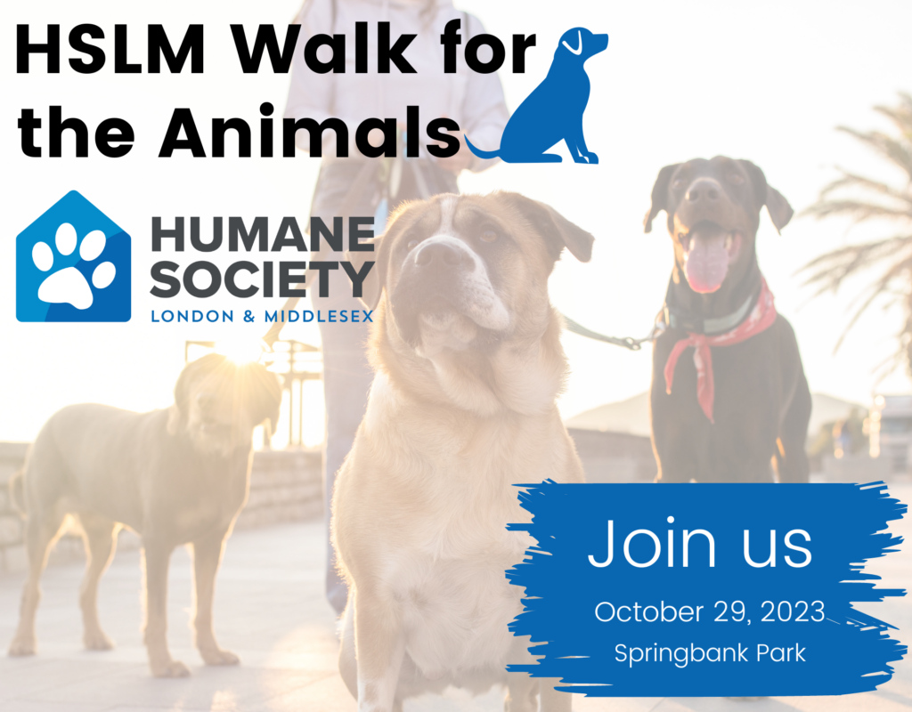 HSLM Walk for the Animals | Humane Society London & Middlesex