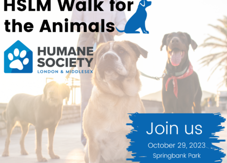 Humane Society London & Middlesex | Humane Society London & Middlesex
