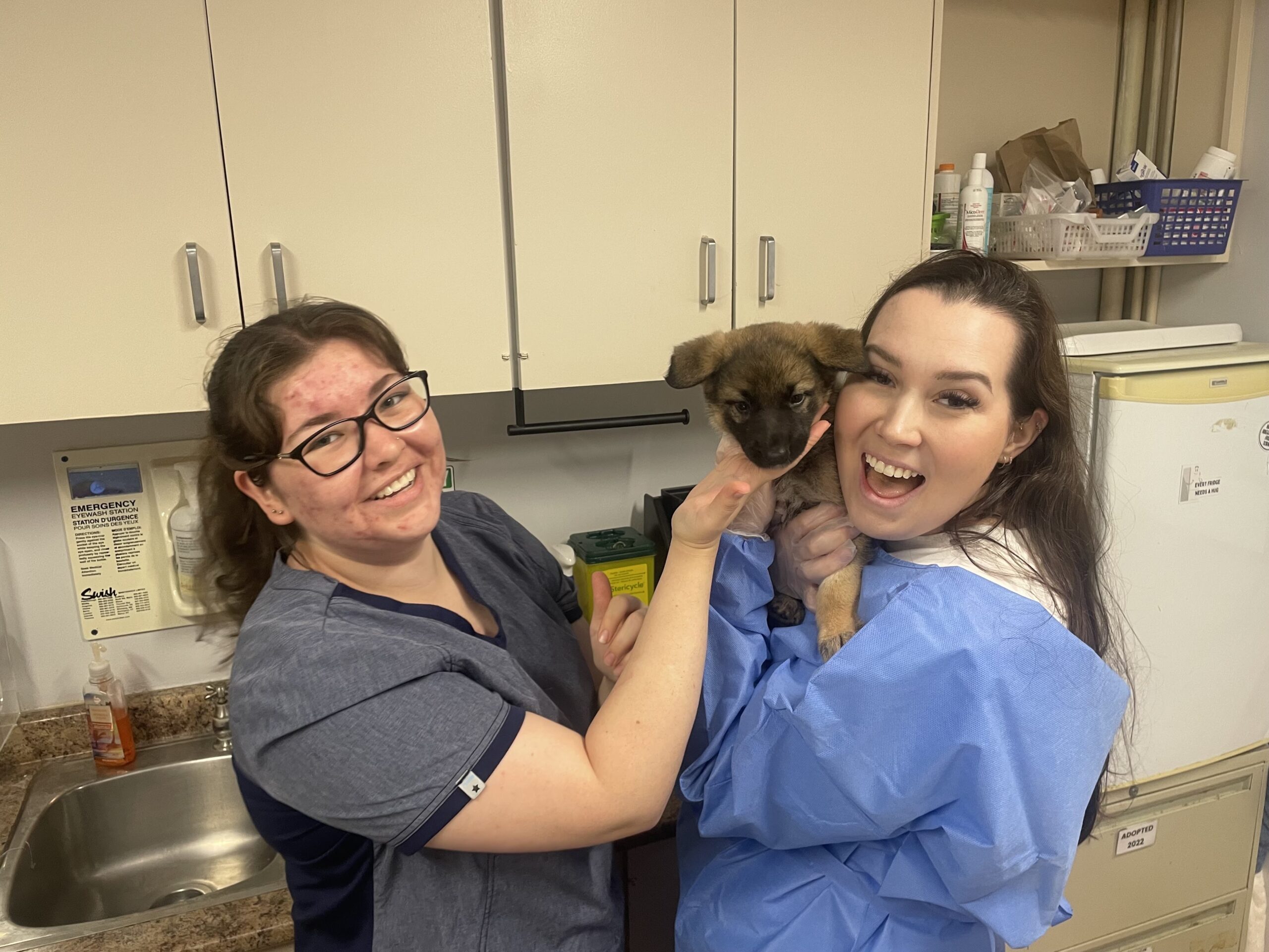 About Us | Humane Society London & Middlesex