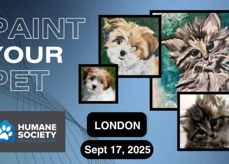 Humane Society London & Middlesex | Humane Society London & Middlesex