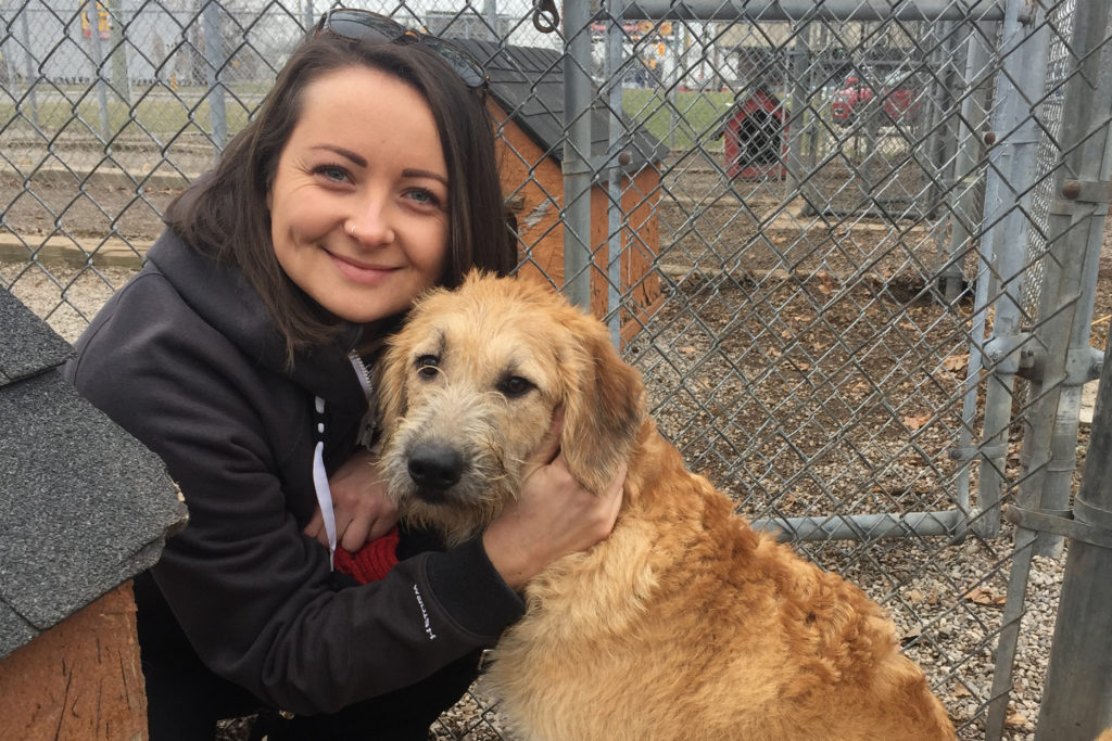 At the Heart of HSLM Are Our Volunteers! | Humane Society London ...