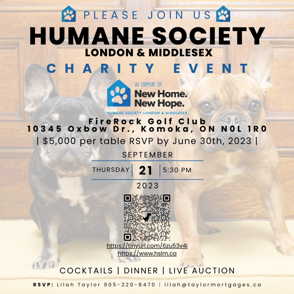 Rex's incredible transformation | Humane Society London & Middlesex