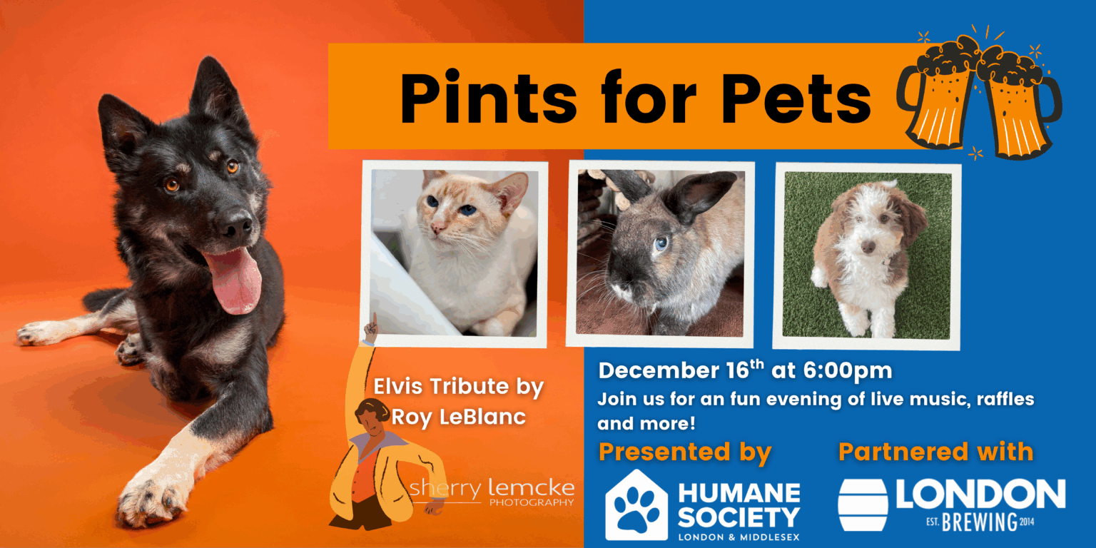 Pints for Pets | Humane Society London & Middlesex