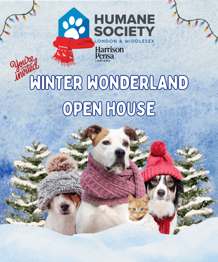 Winter Wonderland Open House | Humane Society London & Middlesex